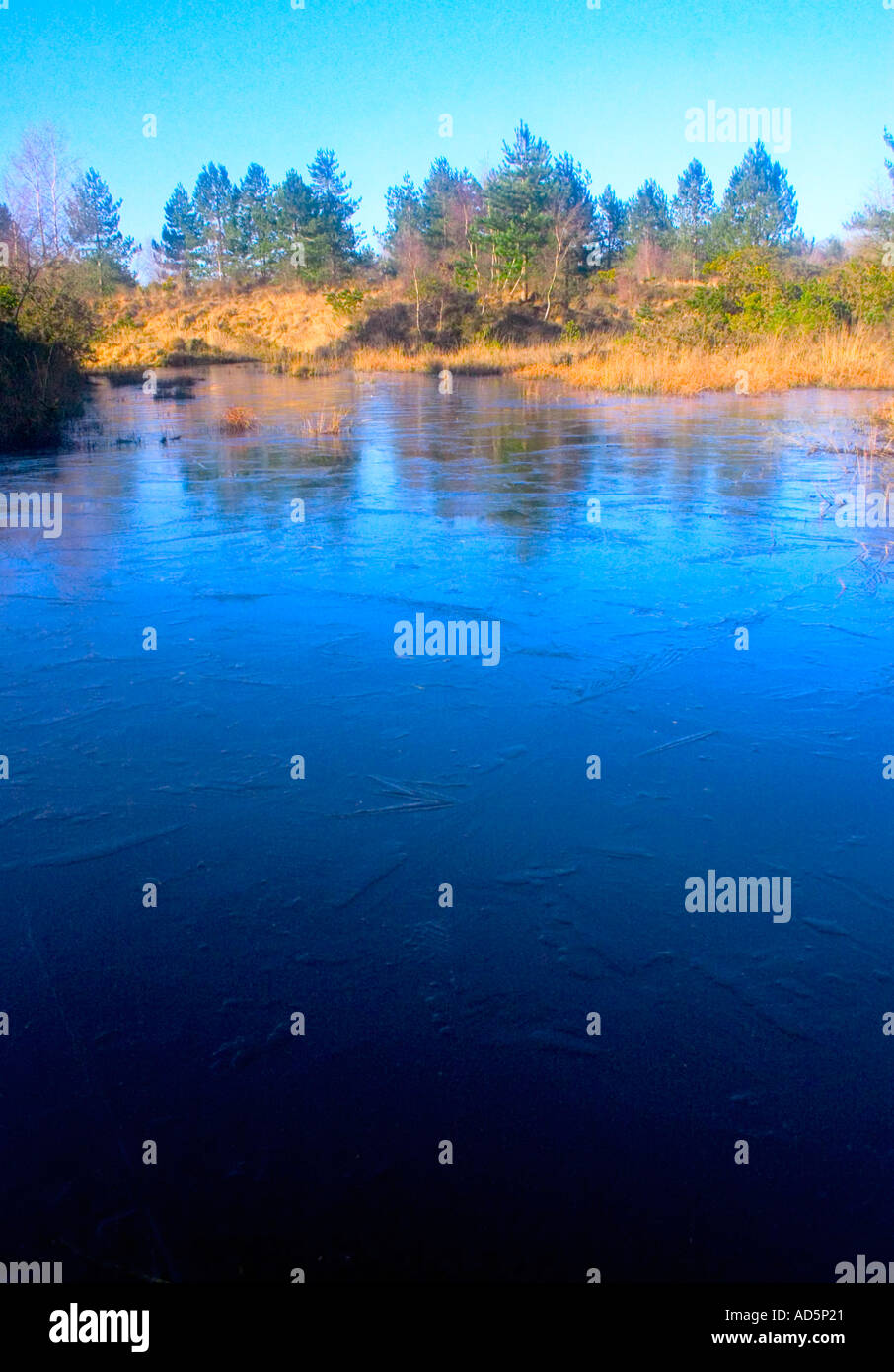 Verwood Dorset St Stephens Point River Trees Water Ice Winters Day ...