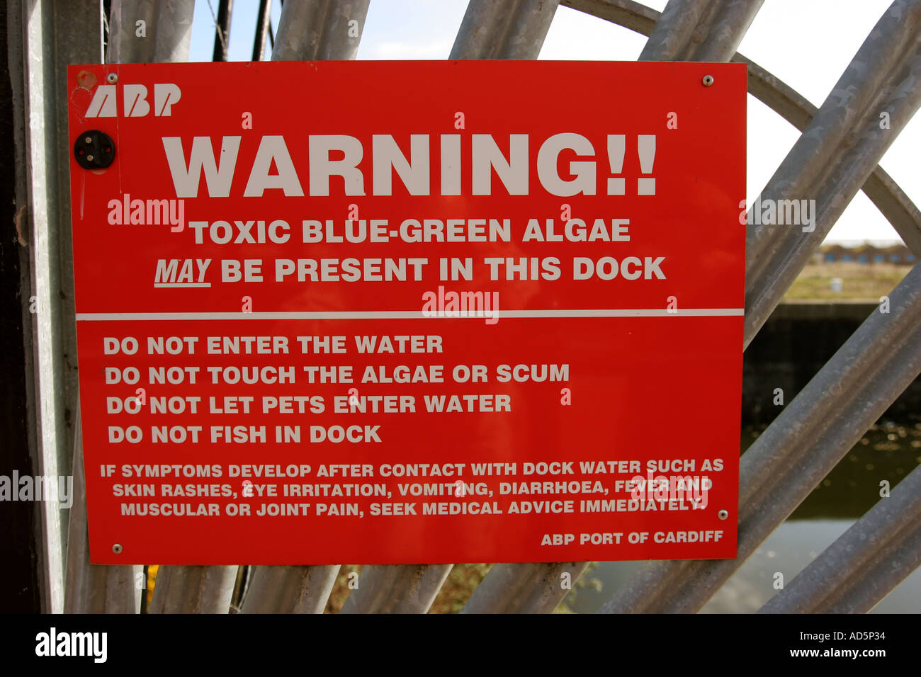 Warning Toxic Blue Green Algae Stock Photo - Alamy
