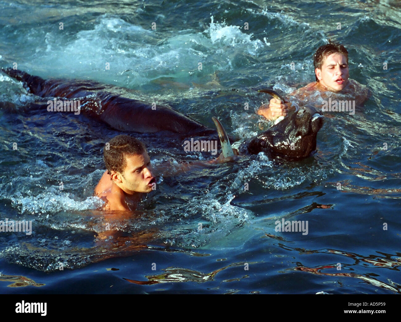 Man in water bull moraira hi-res stock photography and images - Alamy