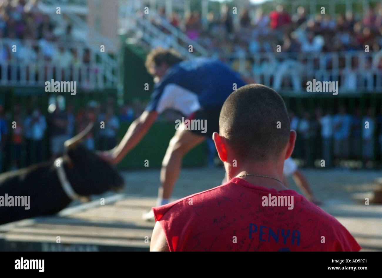 The action during bull running fiesta in July where half a bull ring is ...