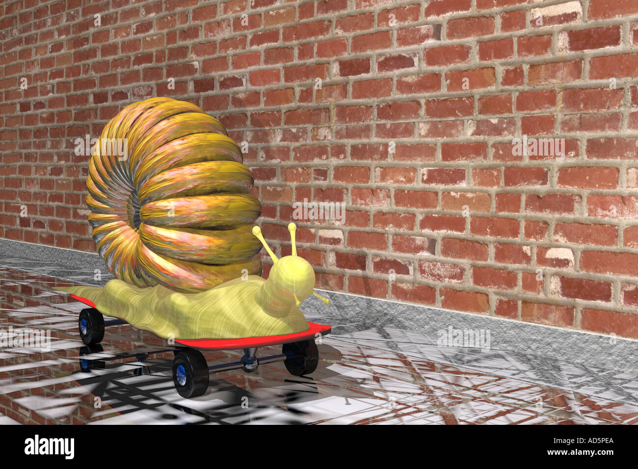 Snail on a skateboard Stock Photo - Alamy