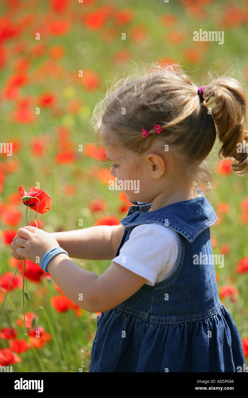Little girl in a poppies' field Stock Photo - Alamy