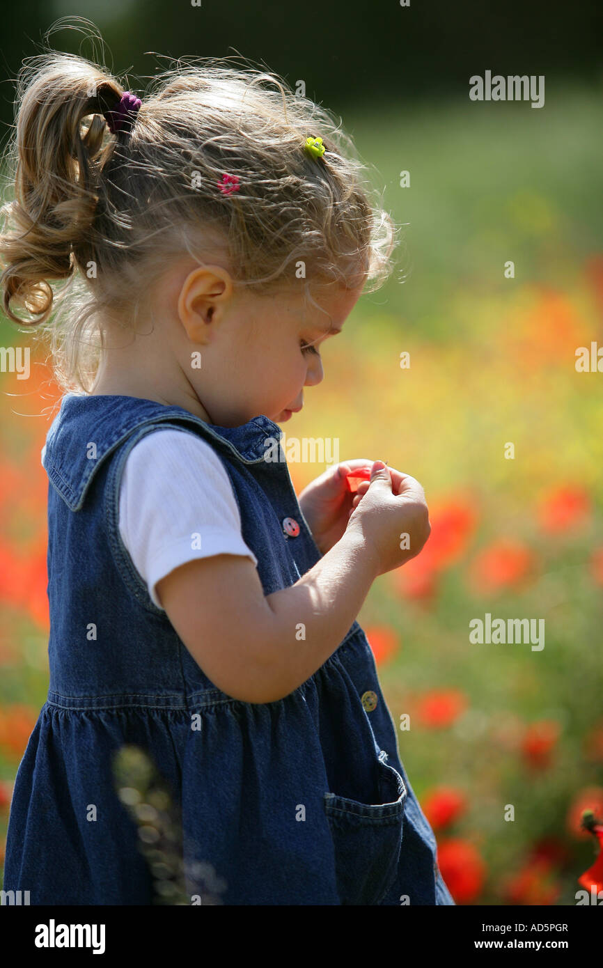 Little girl in a poppies field Stock Photo - Alamy