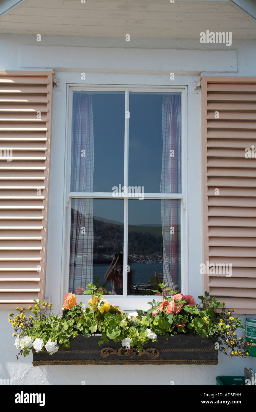 Close up of sash window with wooden shutters and begonias in windowbox ...