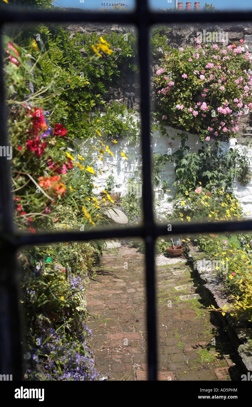View from inside window to walled garden with summer flowers Stock ...