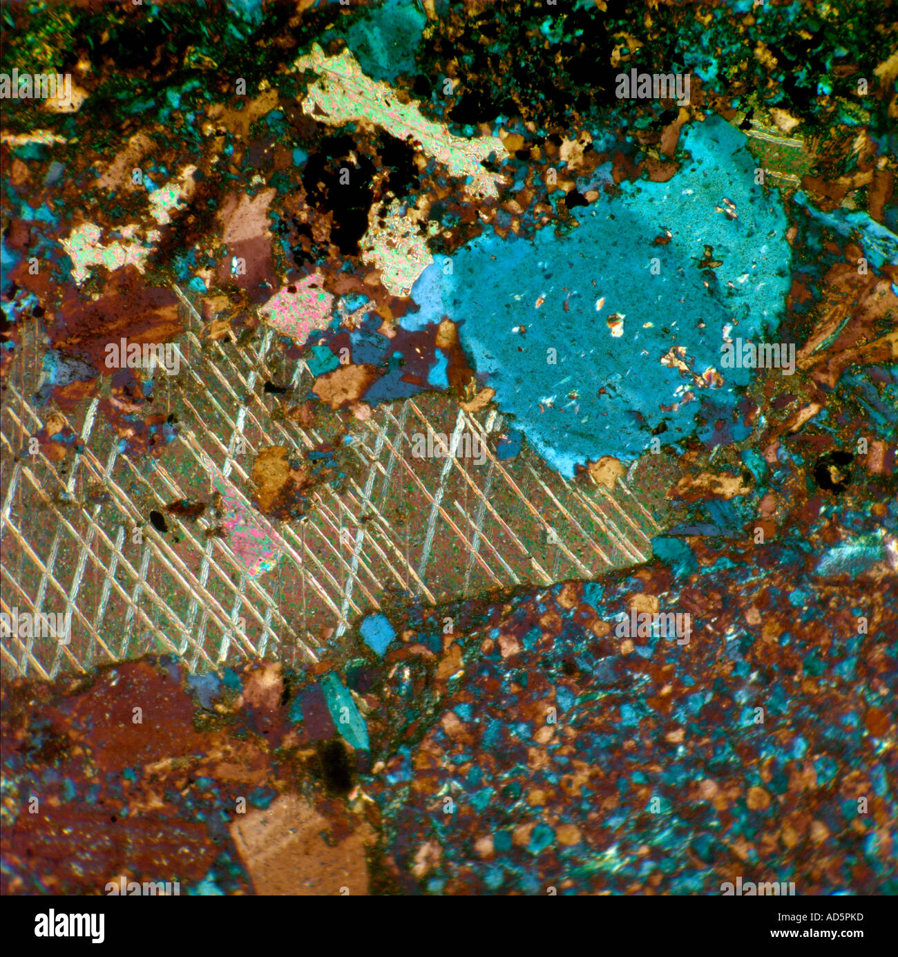 Quartz conglomerate microslide mineral section hi-res stock photography ...