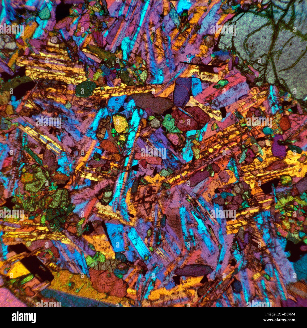 Quartz conglomerate microslide mineral section, cross polarized ...