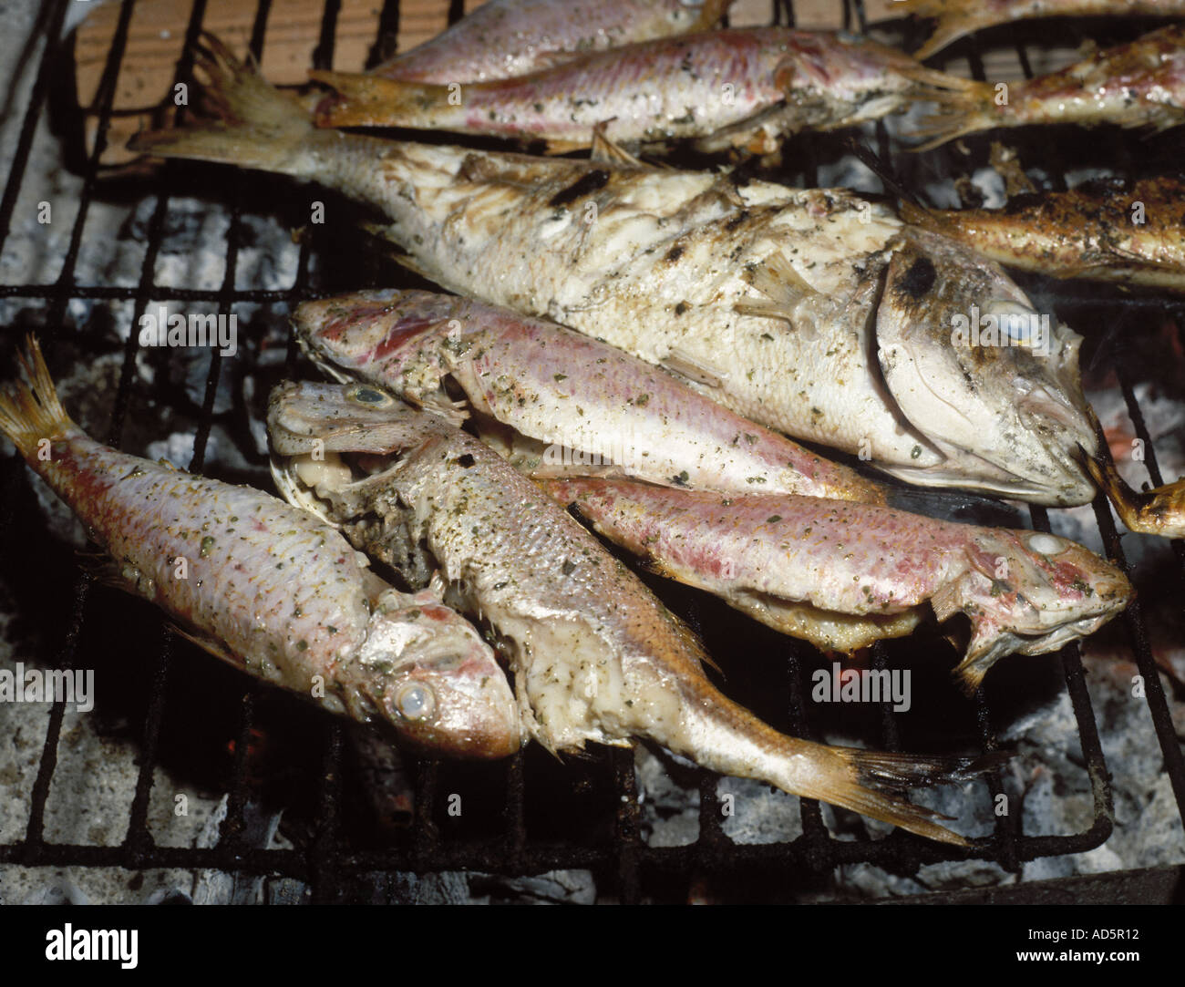 Fish being grilled in a charcoal fire outdoors Stock Photo - Alamy