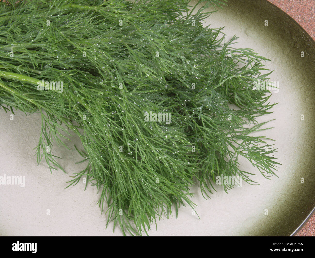 Dillweed hi-res stock photography and images - Alamy