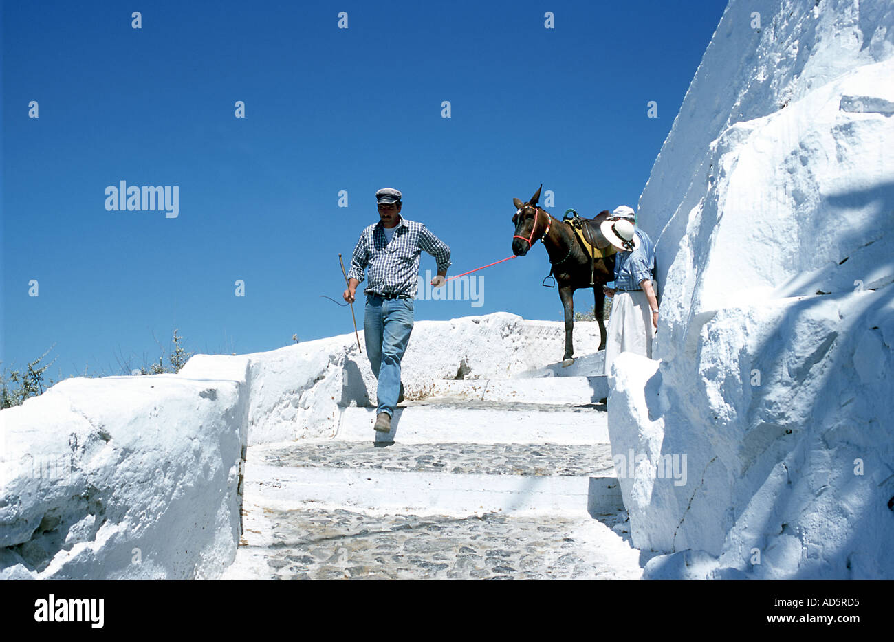 Man leading donkey hi-res stock photography and images - Alamy