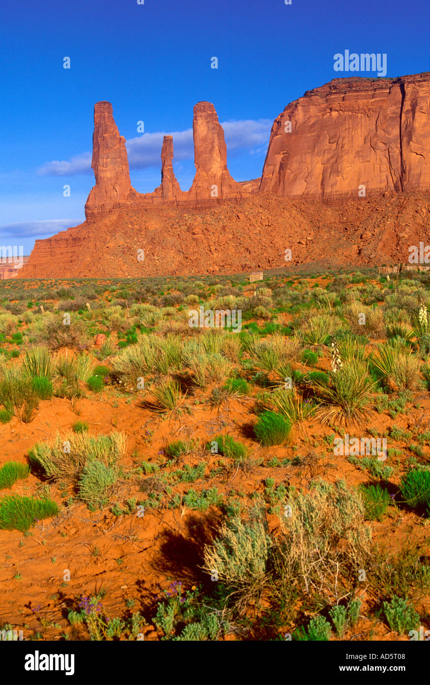 THE THREE SISTERS IN MONUMENT VALLEY ARIZONA USA Stock Photo - Alamy