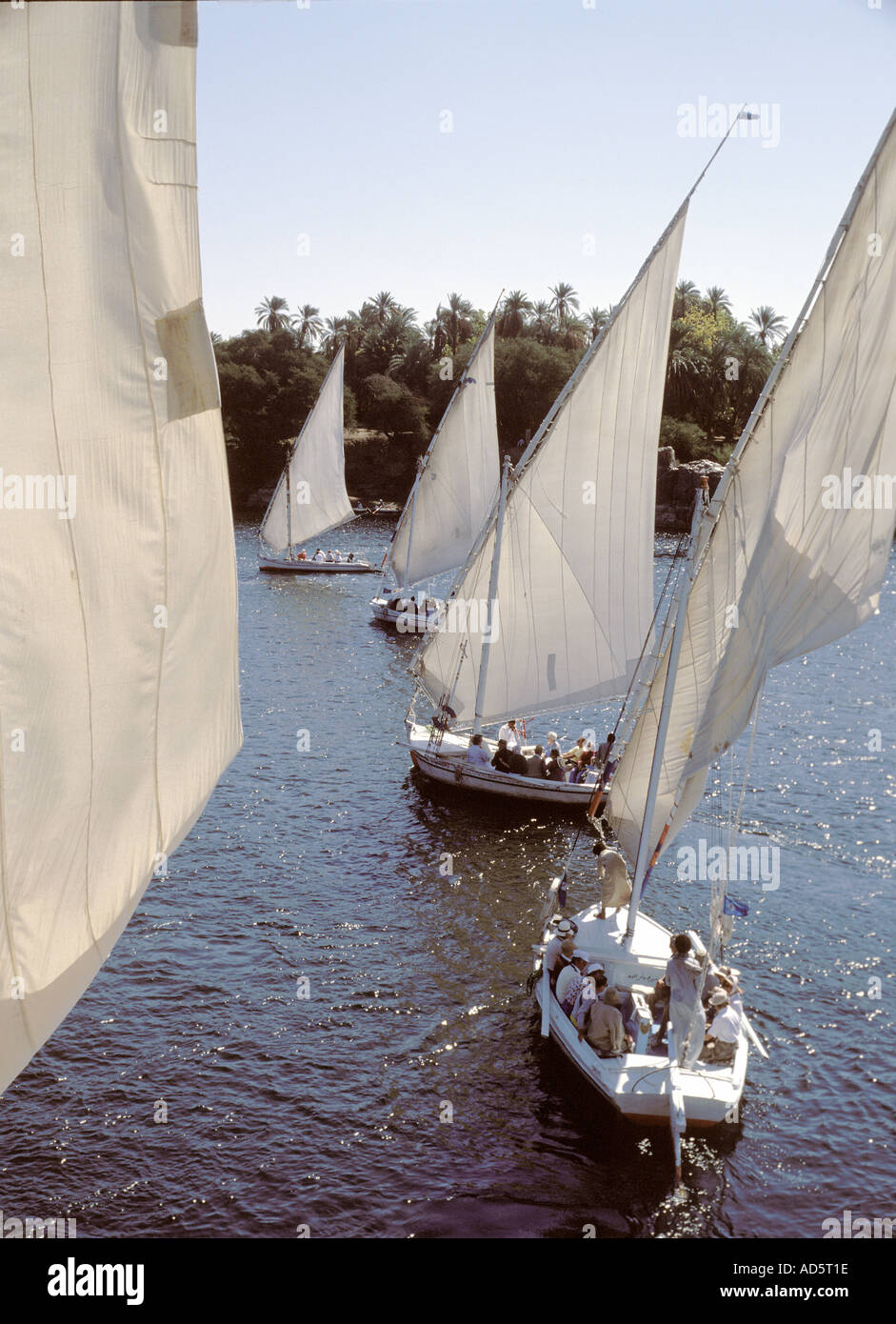 Falucka Sail Boat in the River Nile Egypt Stock Photo - Alamy