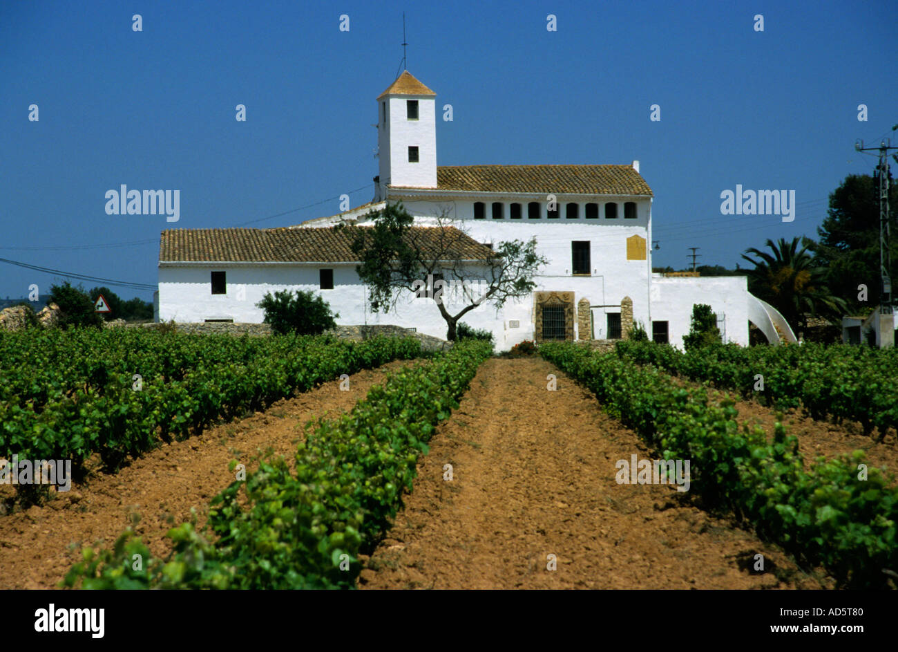 Penedes hi-res stock photography and images - Alamy
