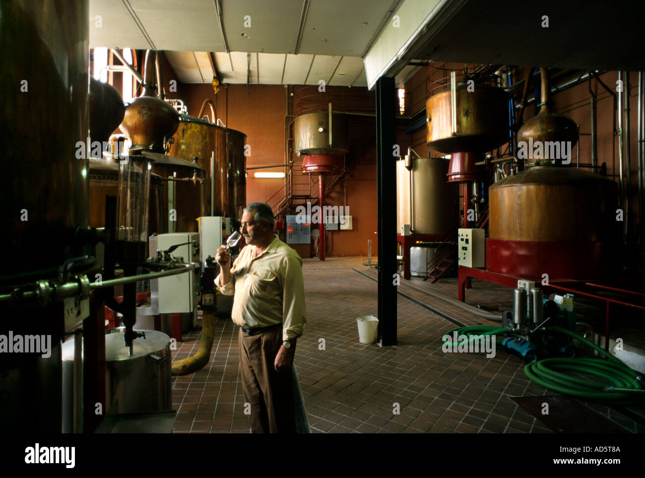 Spain wine cognac Brandy Still Stills Man taste test sample glass wine ...