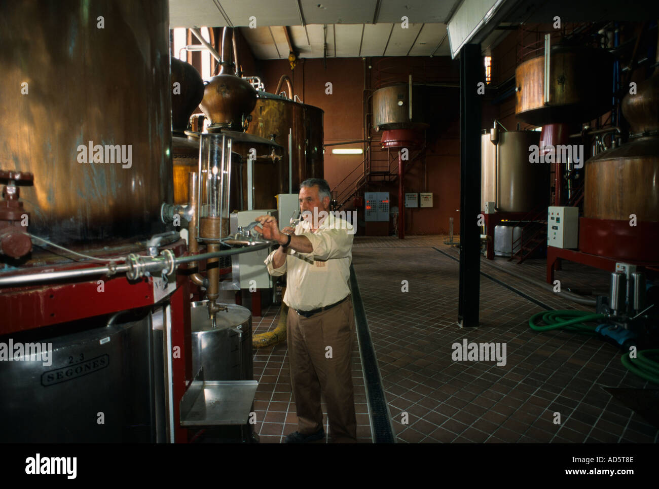 Spain wine cognac Brandy Still Stills Man taste test sample glass wine ...