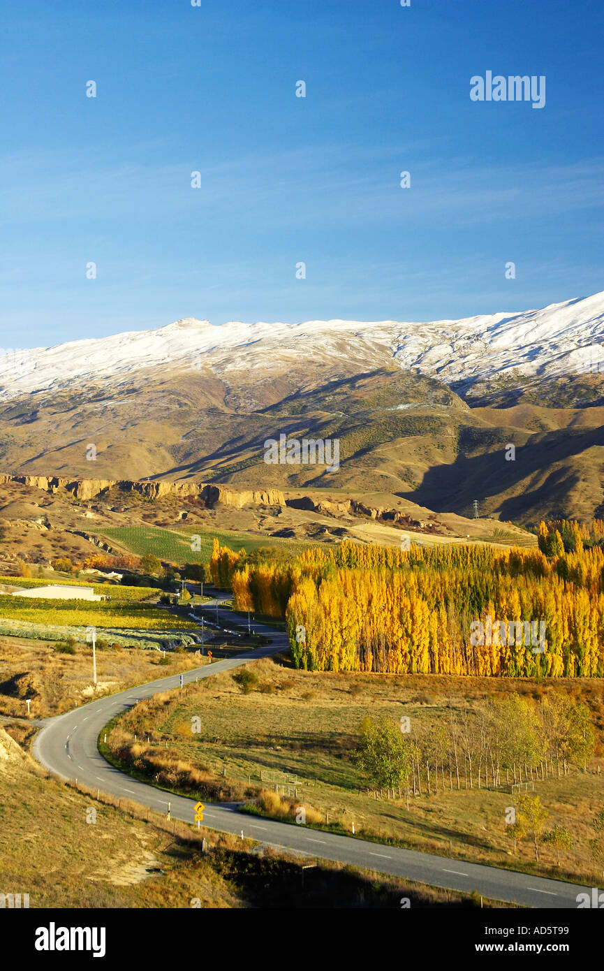 Autumn Colours Felton Road Bannockburn near Cromwell Central Otago ...