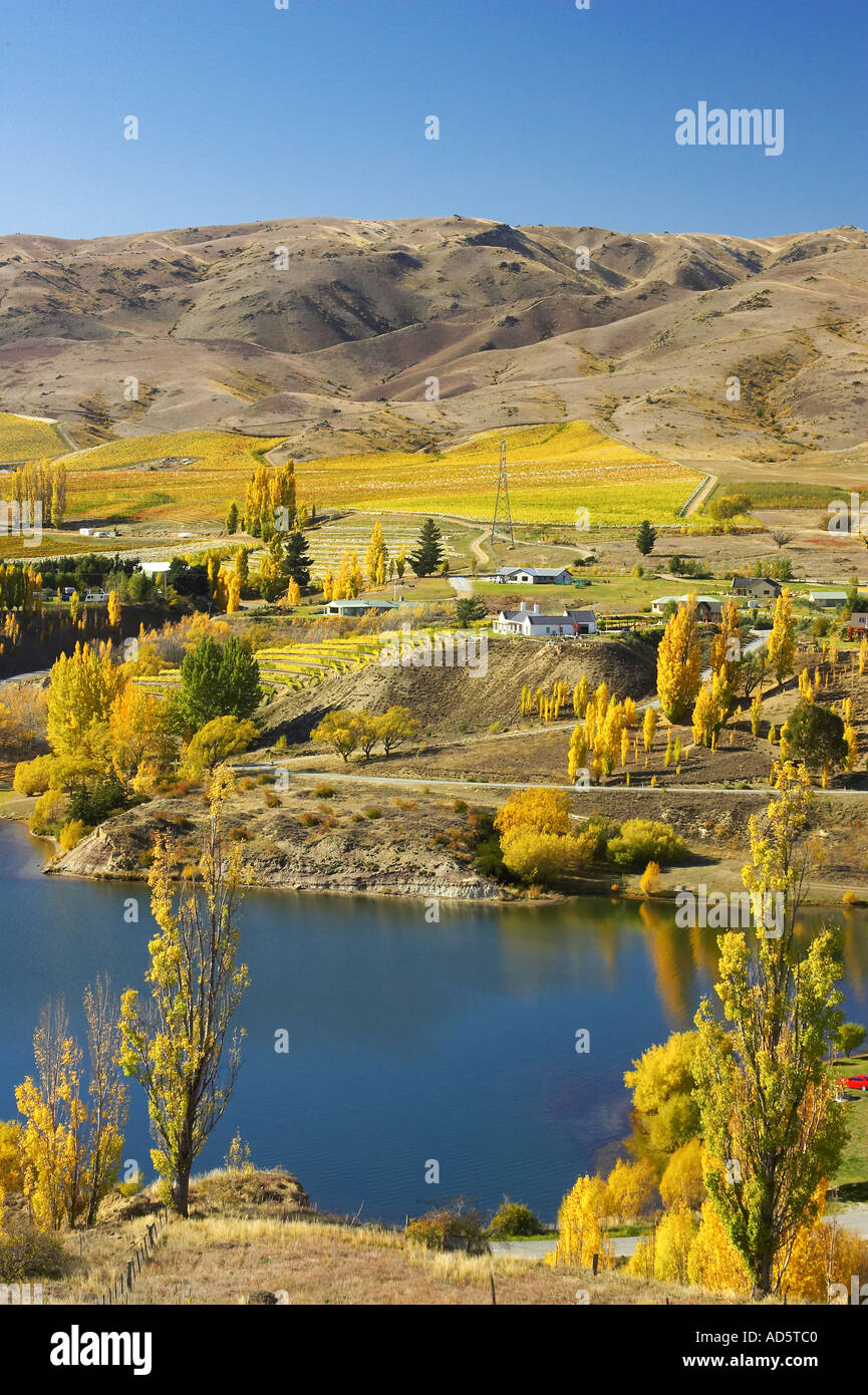 Gold lake campground hi-res stock photography and images - Alamy