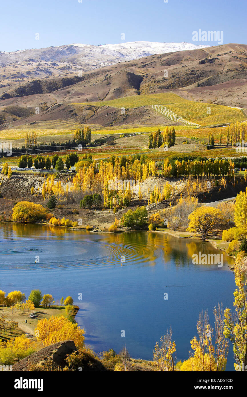 Gold lake campground hi-res stock photography and images - Alamy