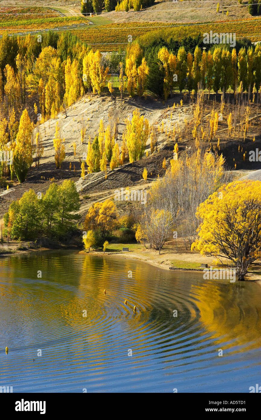 Gold lake campground hi-res stock photography and images - Alamy