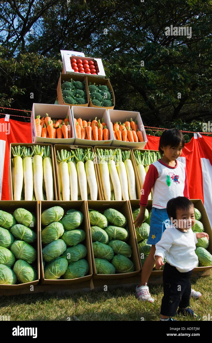 Japan Honshu Island Tokyo Agricultural Festival Vegetable Stand Stock ...