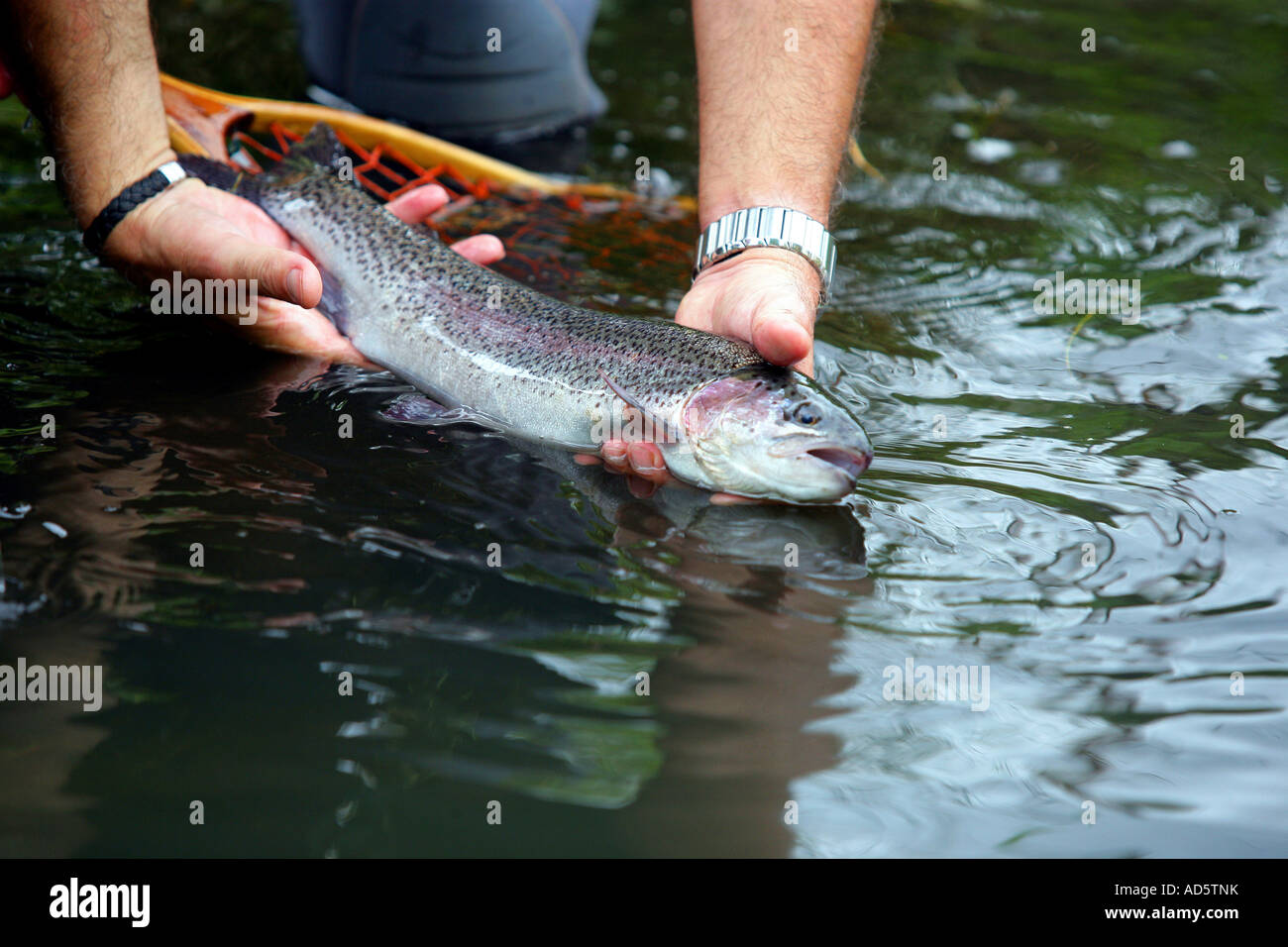Fisherman catching a fish Stock Photo - Alamy