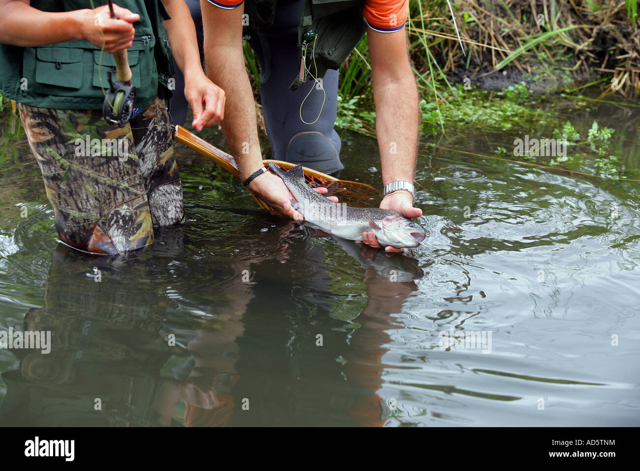 Man and boy catching a fish with a net Stock Photo - Alamy