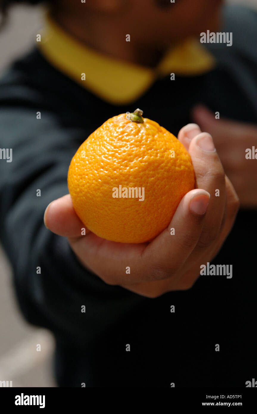 Hesperidium Fruit