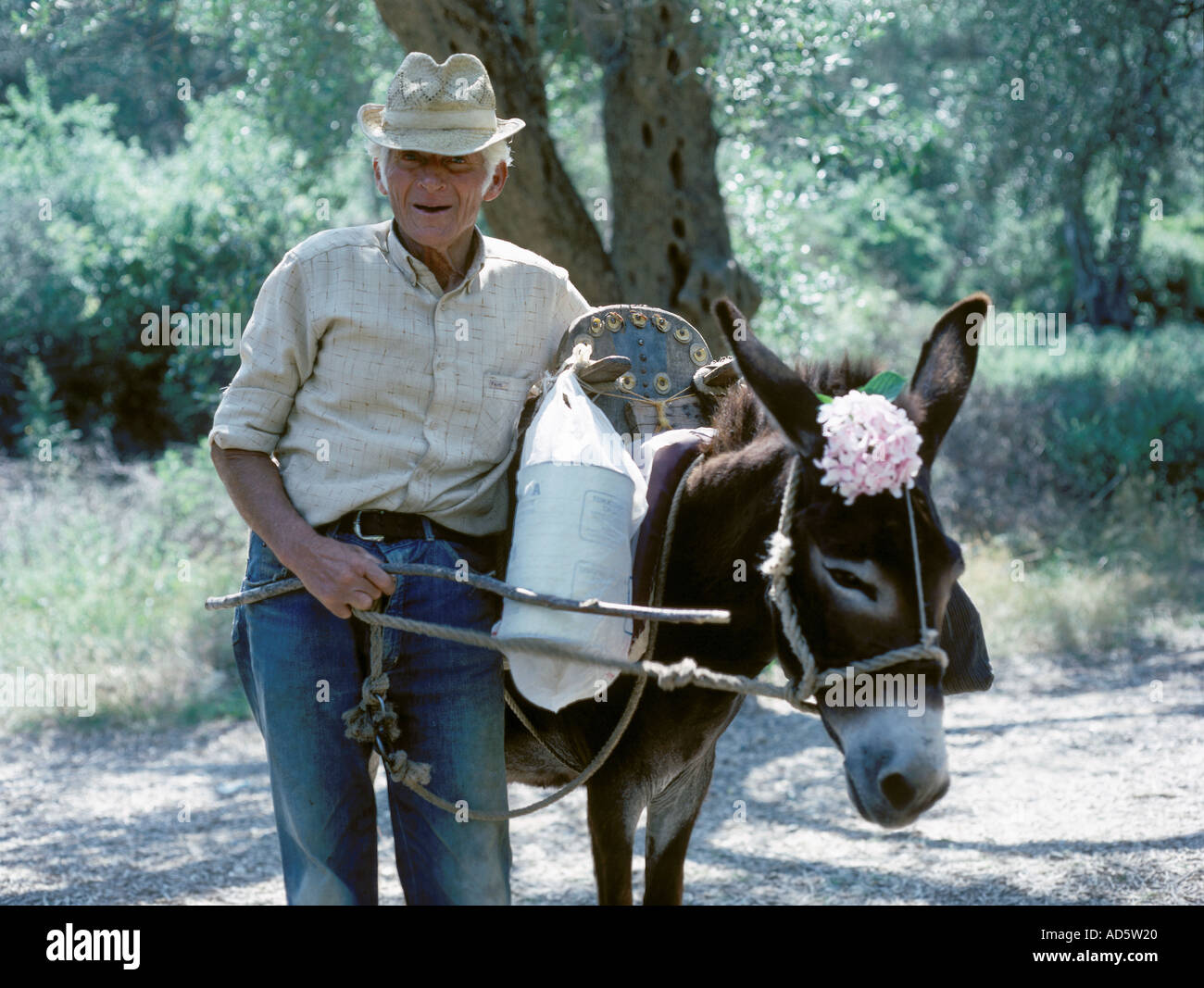 Local man standing donkey hi-res stock photography and images - Alamy