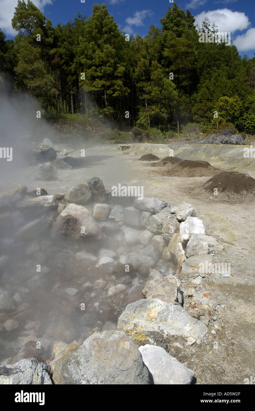 Volcanic thermal activity at Lake Sao Miguel island Azores Stock Photo ...