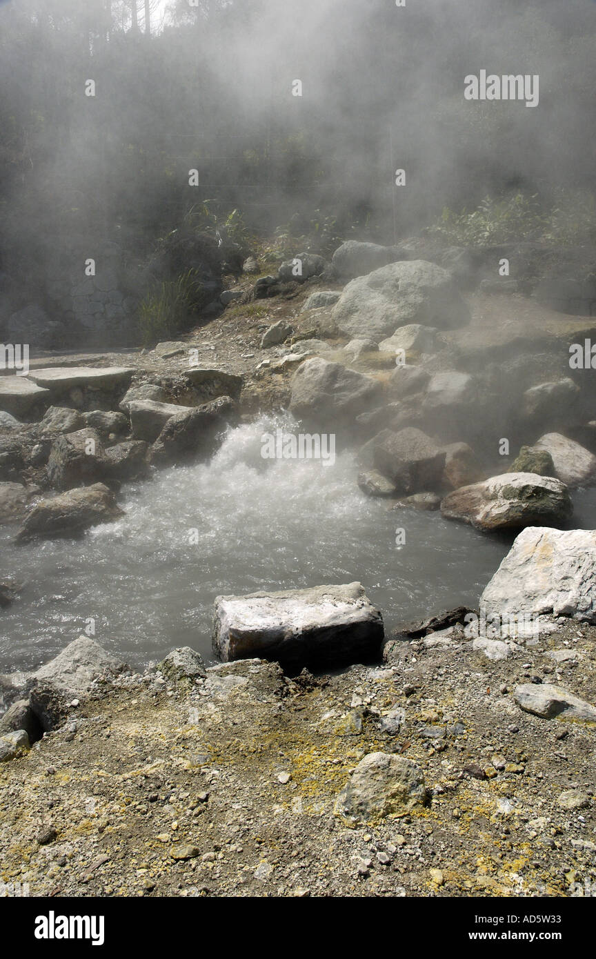 Volcanic thermal activity at Furnas Lake Sao Miguel island Azores Stock ...