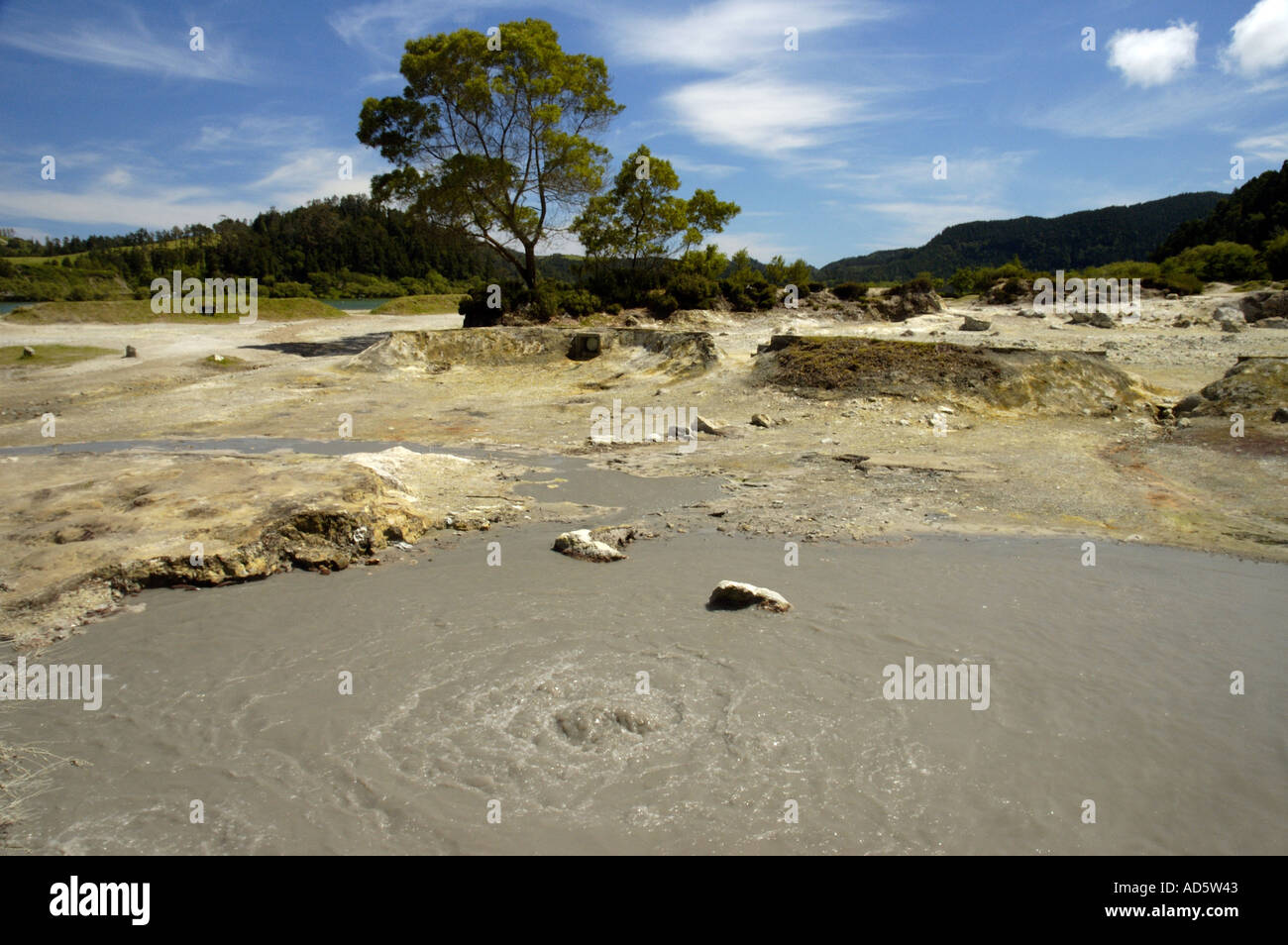 Volcanic thermal activity at Furnas Lake Sao Miguel island Azores Stock ...