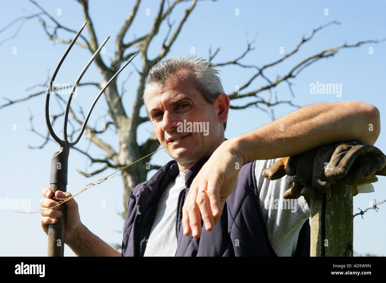 Farmer holding hayfork Stock Photo - Alamy