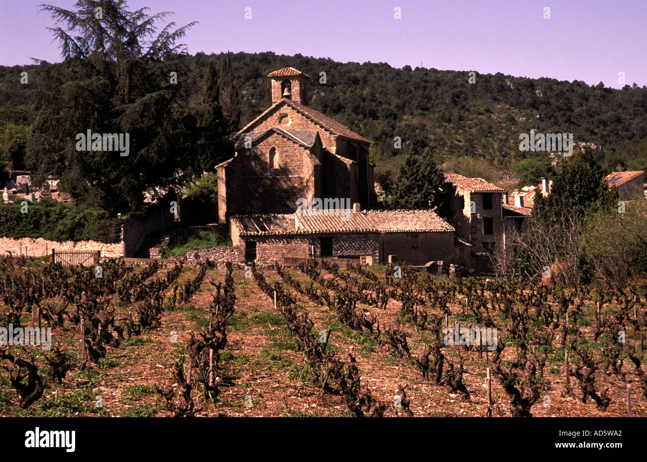 Corbieres France French vintage vineyard wine Stock Photo - Alamy