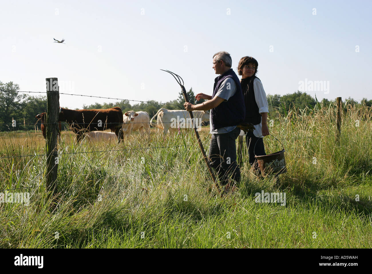 Farmers in field Stock Photo - Alamy