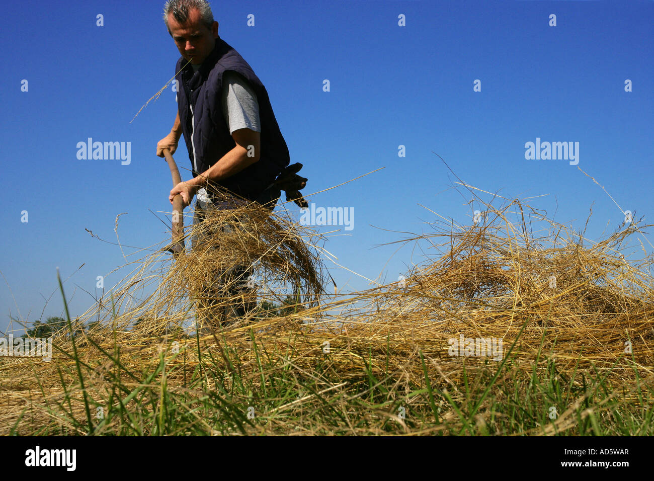 Hay fork hi-res stock photography and images - Alamy