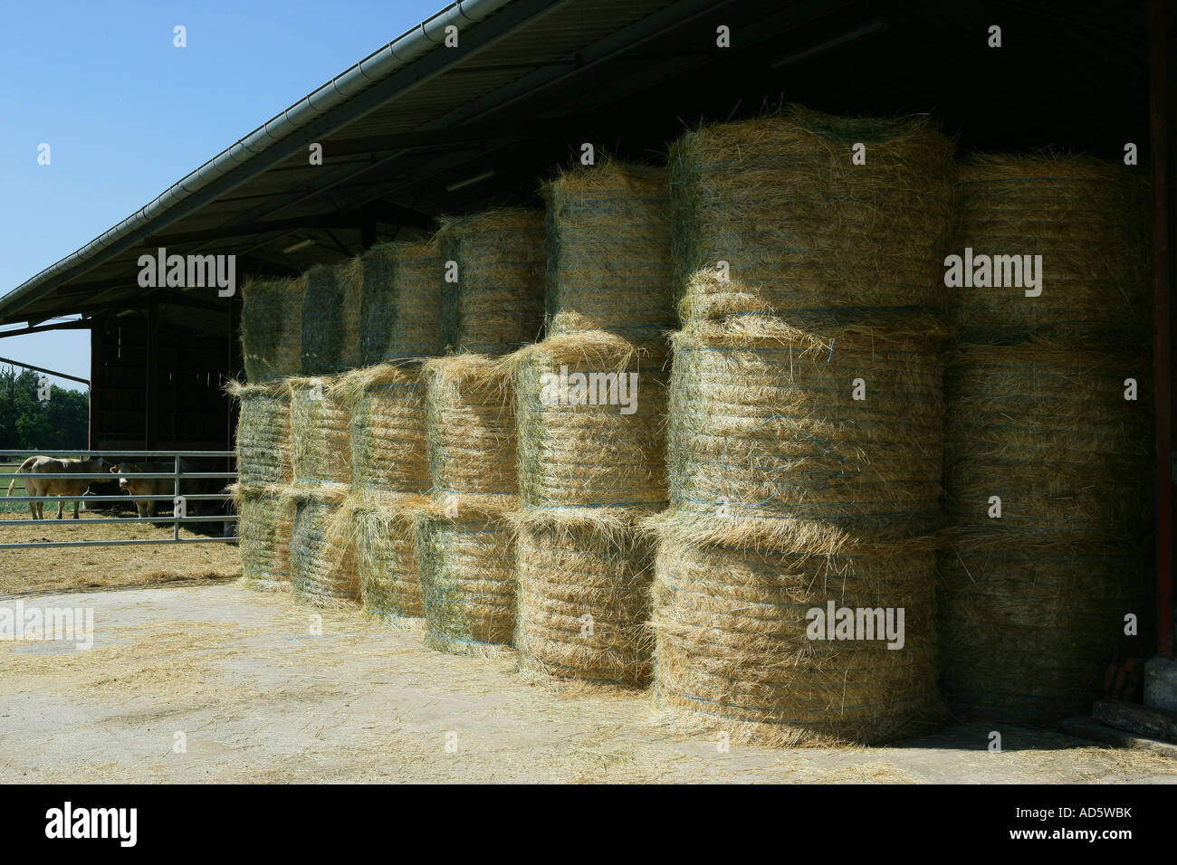 Hay stored outdoors hi-res stock photography and images - Alamy