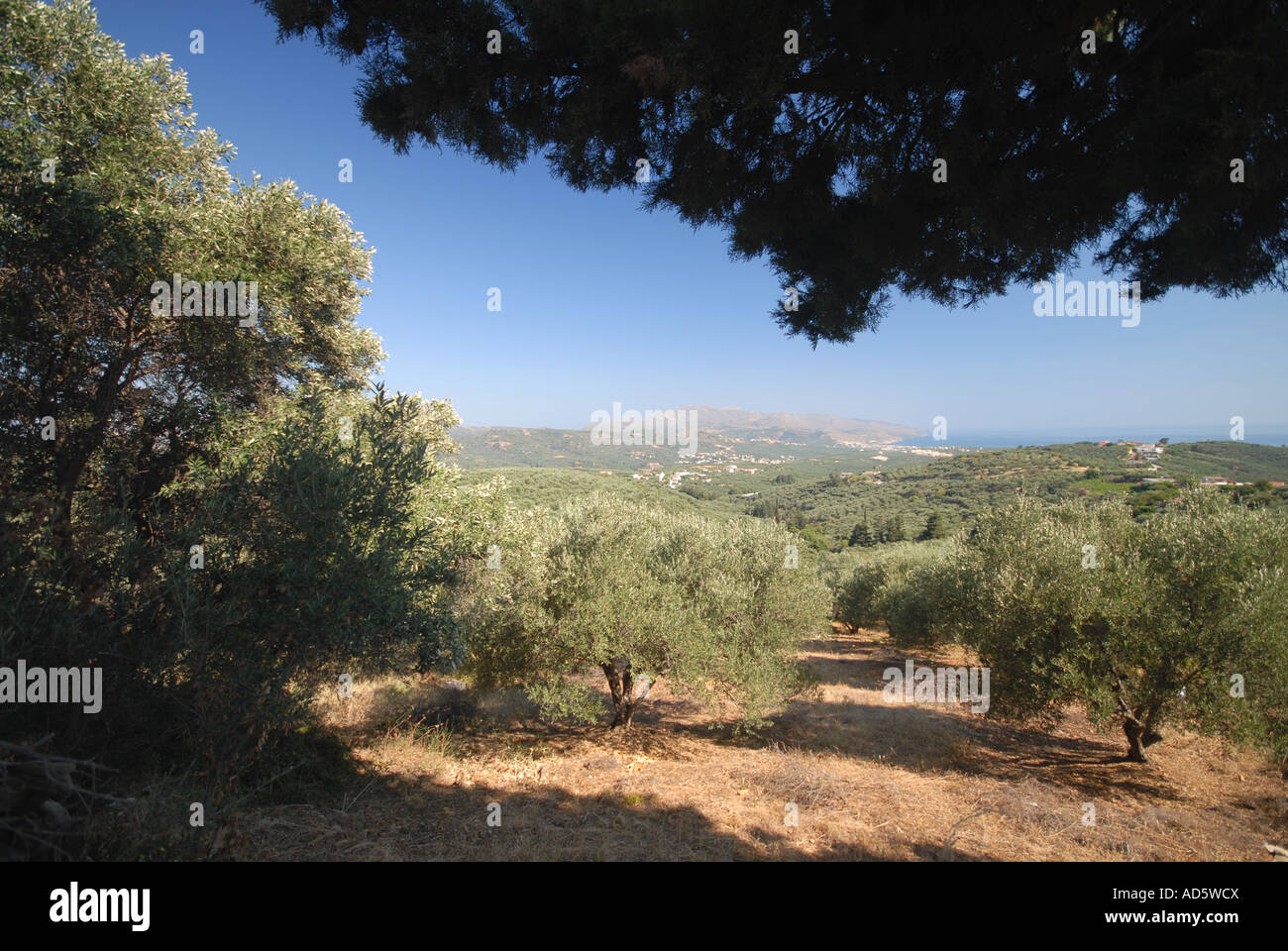 CRETE Countryside near Ano Vouves looking towards the Rodhopou ...