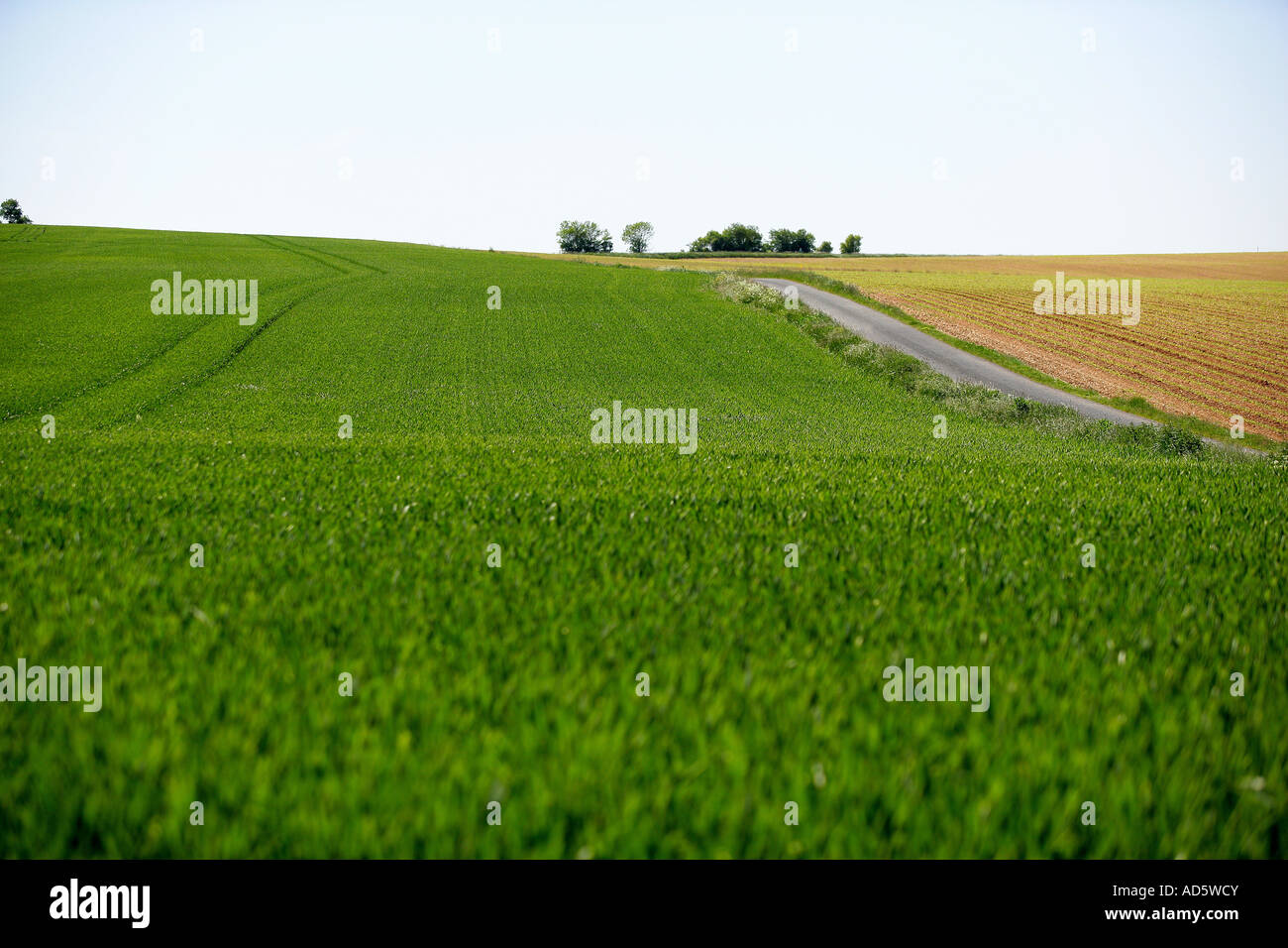 View of an agricultural field Stock Photo - Alamy