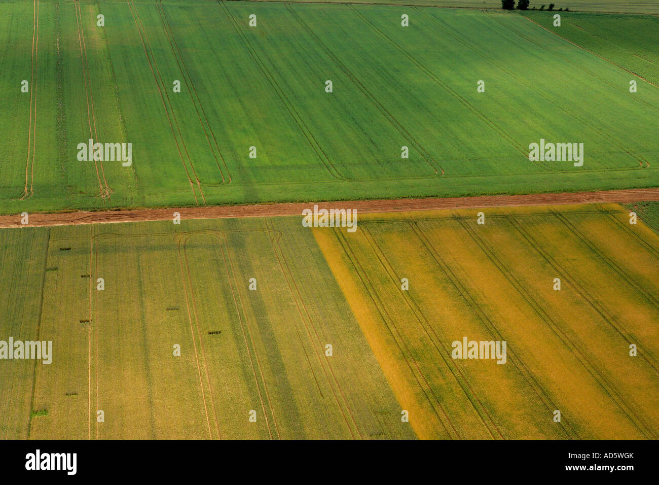 Overview of an agricultural field Stock Photo - Alamy