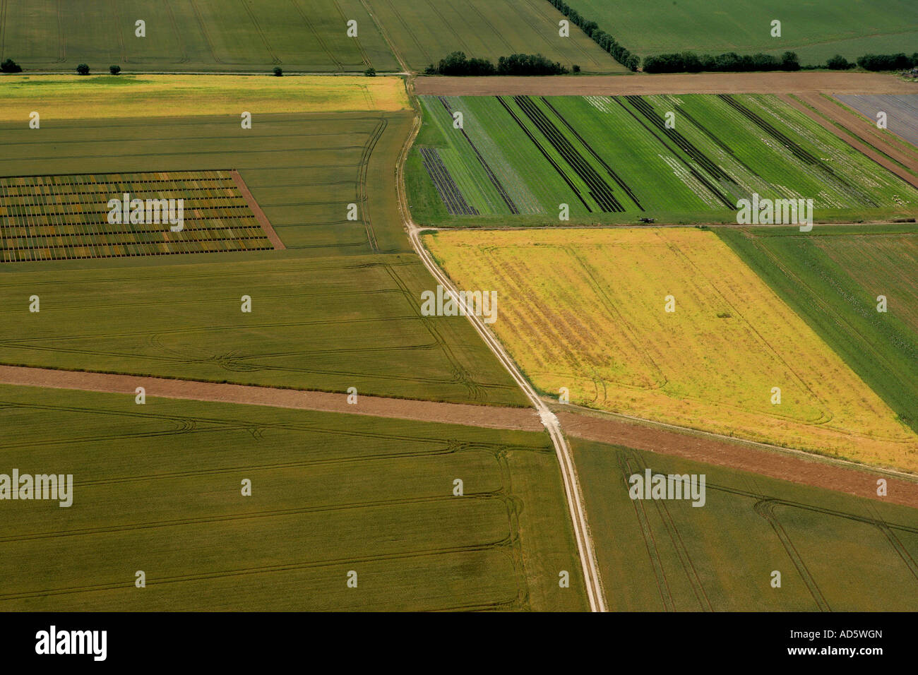 Overview of agricultural fields Stock Photo - Alamy