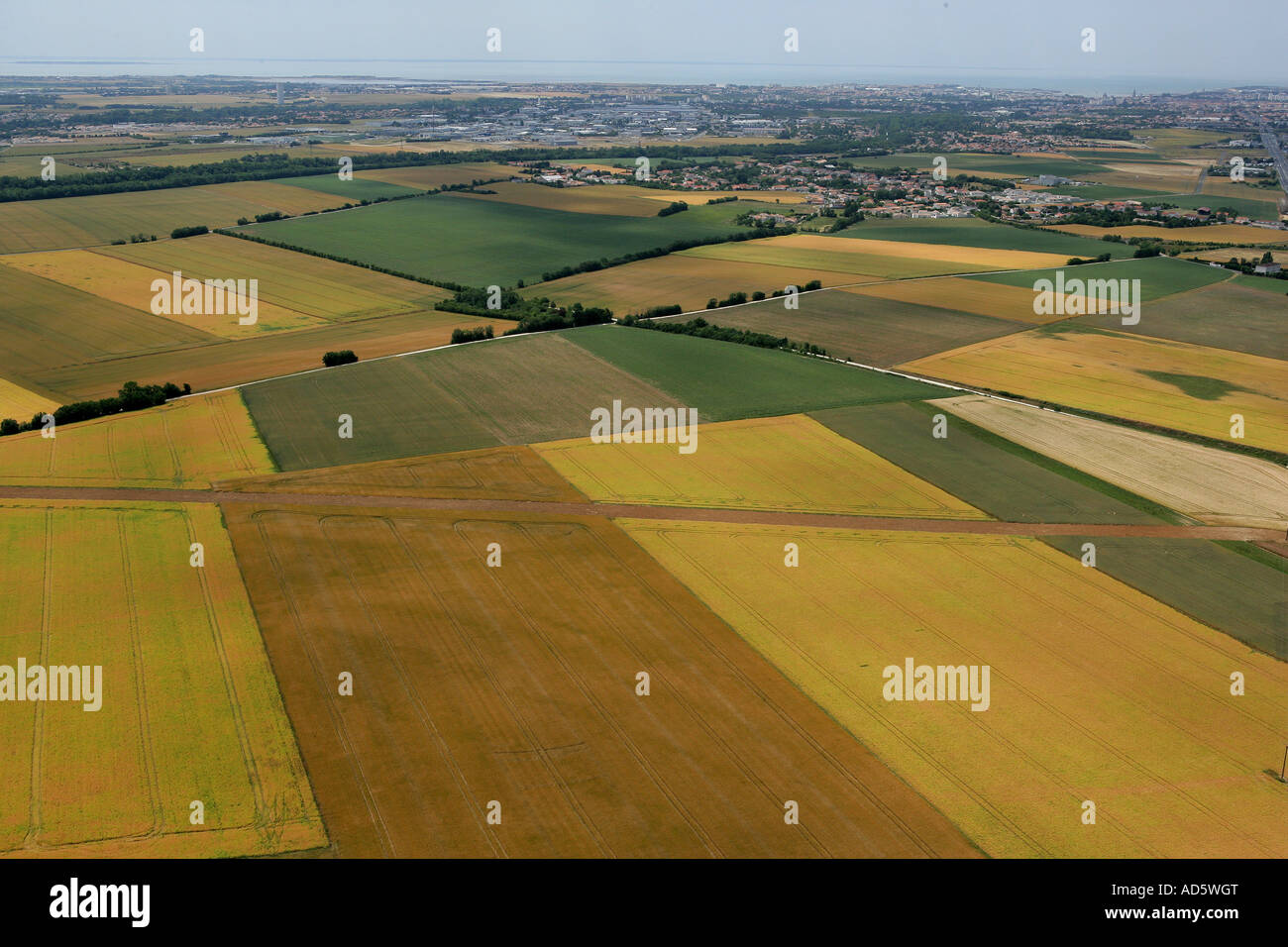Overview of agricultural fields Stock Photo - Alamy