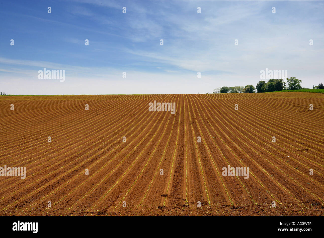 View of an agricultural field Stock Photo - Alamy