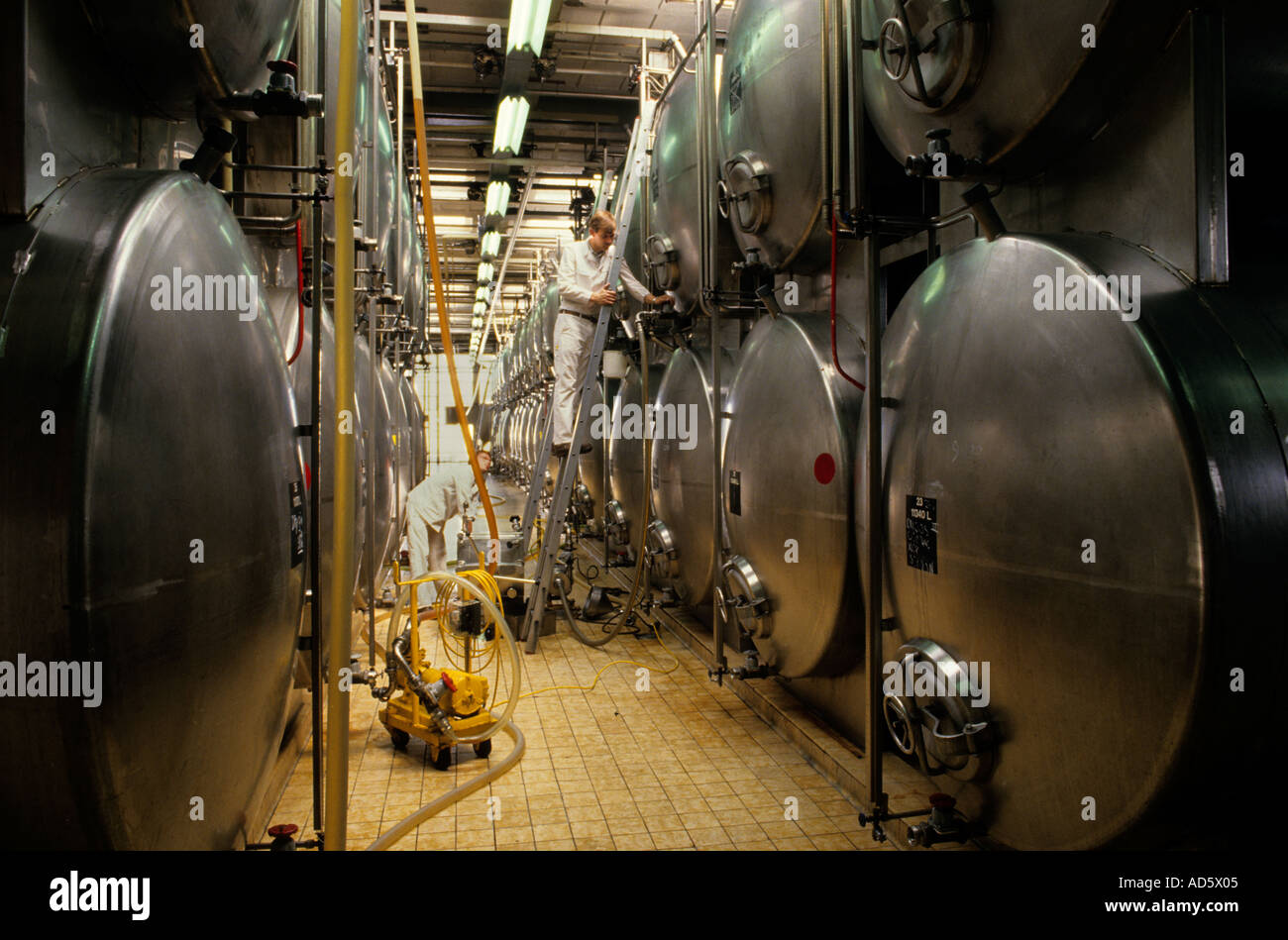 Bols Netherlands Gin Distillery Genever Jenever liquor Stock Photo - Alamy
