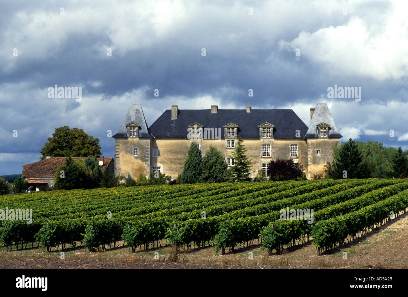 France french cognac distillery distil brandy hi-res stock photography ...