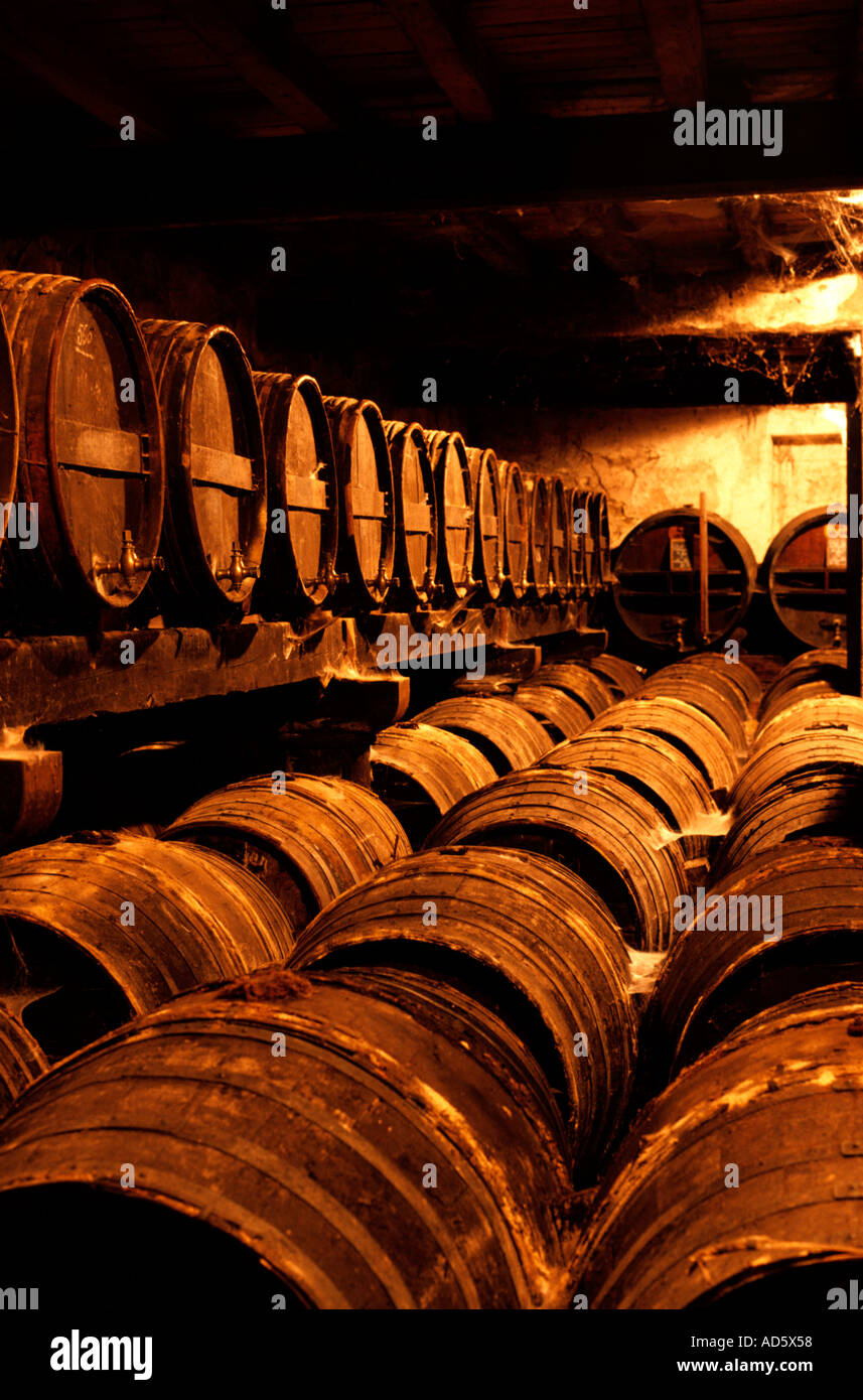 France Cognac Distillery Cellar Cask Stock Photo - Alamy