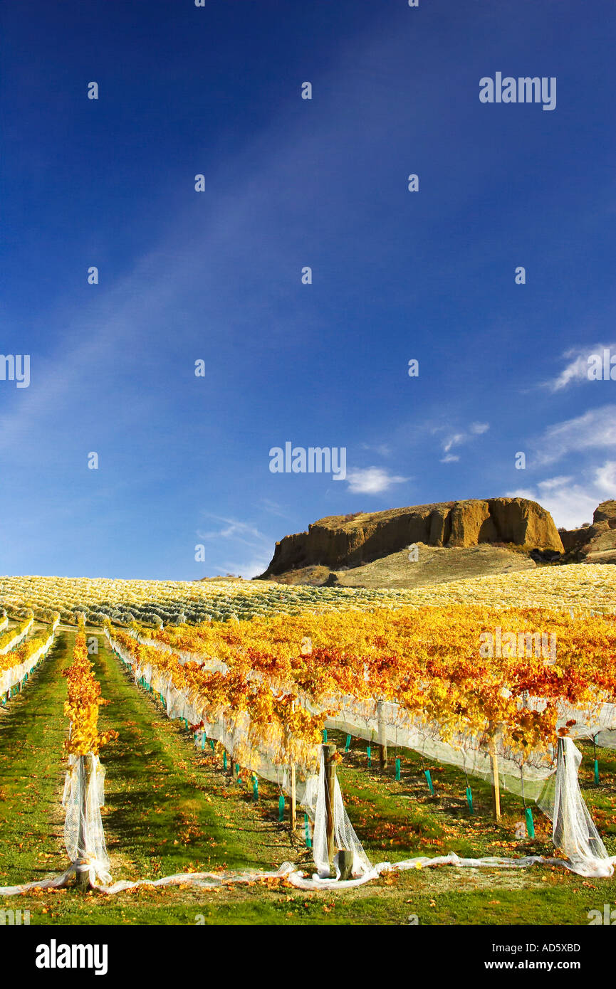 Bannockburn Sluicings High Resolution Stock Photography and Images - Alamy