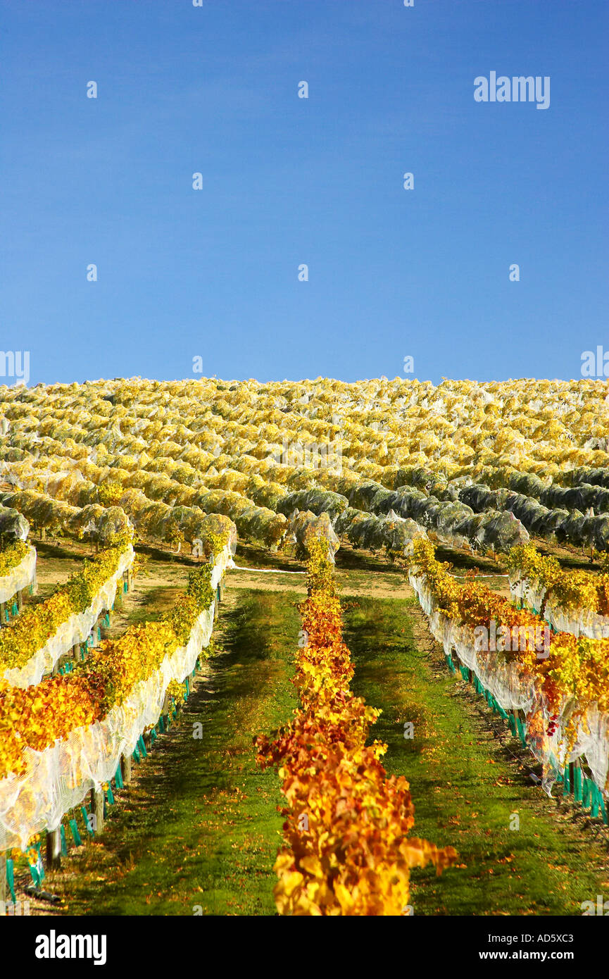 Mt difficulty wines new zealand hi-res stock photography and images - Alamy