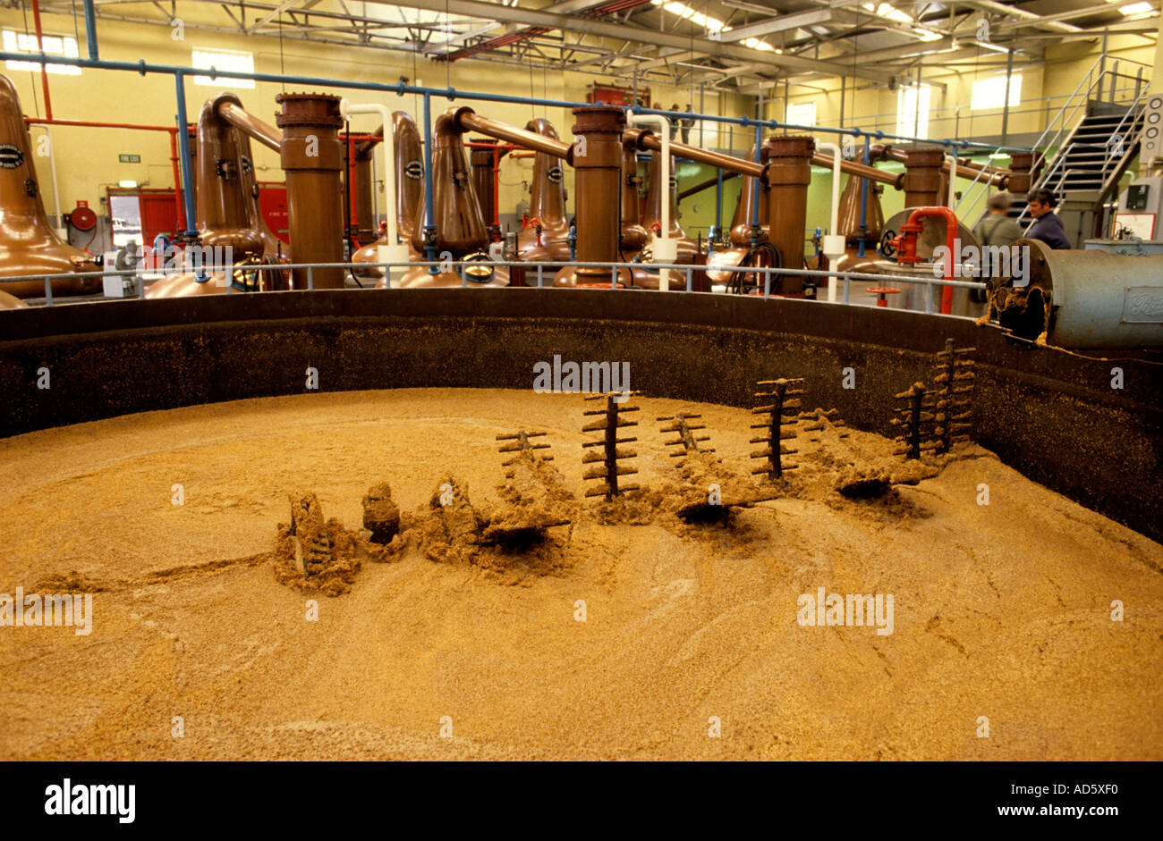 Scotland Whisky Distillery Stills Glennfiddich Stock Photo - Alamy