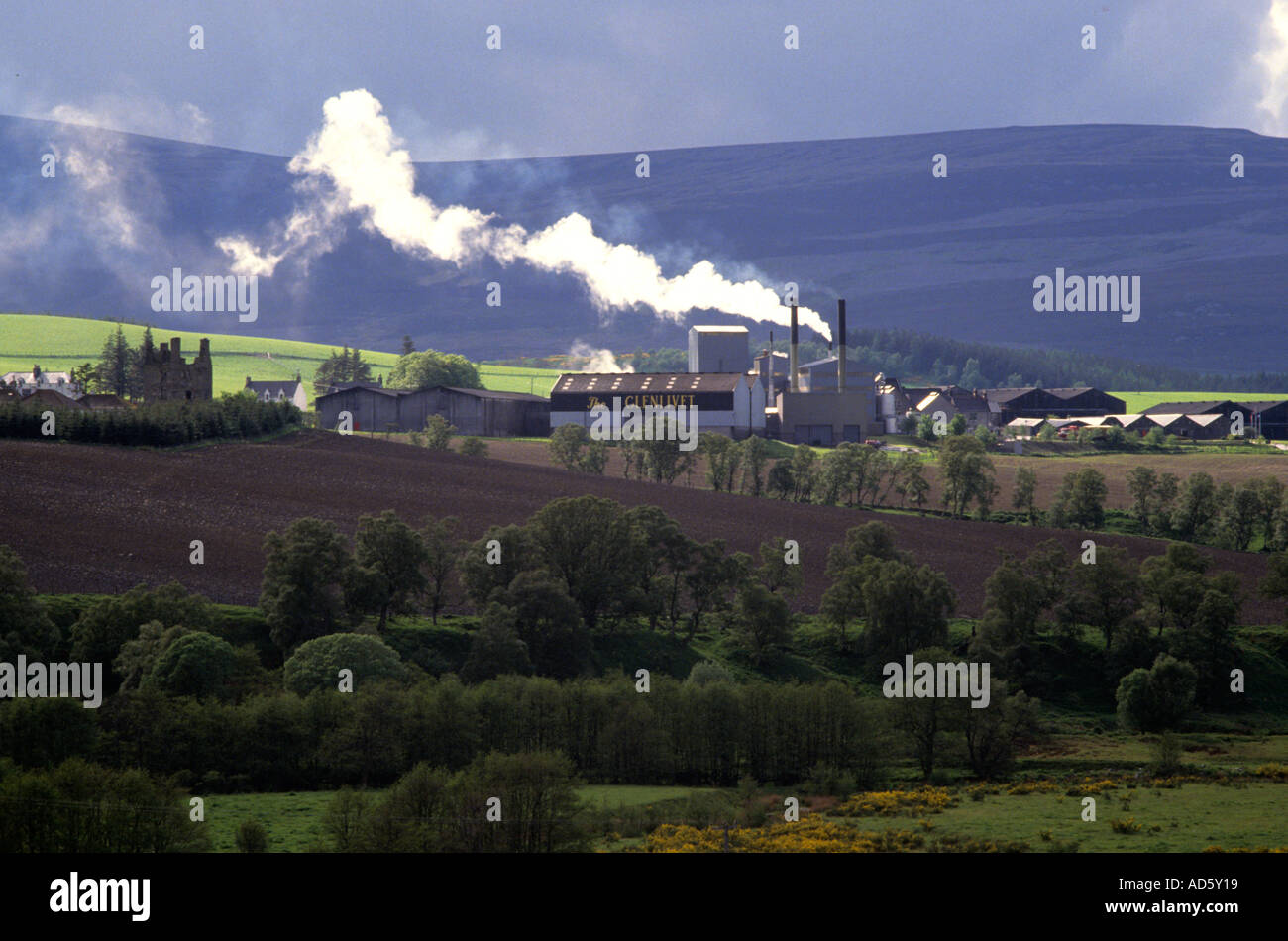 Scotland Whisky Distillery Stills Glenlivet Stock Photo - Alamy