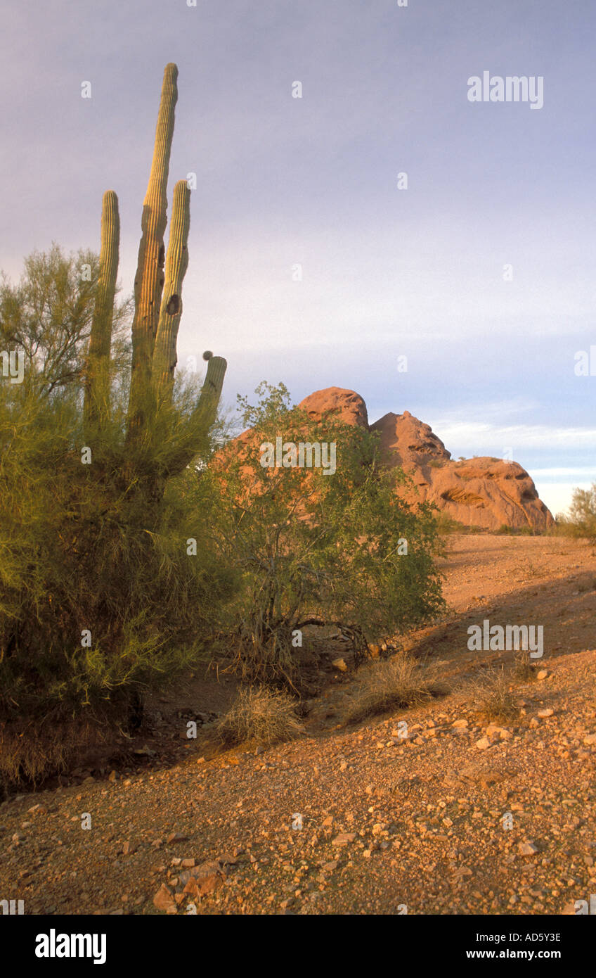 Papago Buttes, Phoenix, Arizona Stock Photo - Alamy